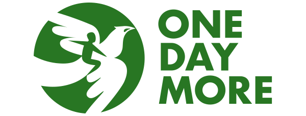 One Day More kod rabatowy | 51% | Grudzień 2025